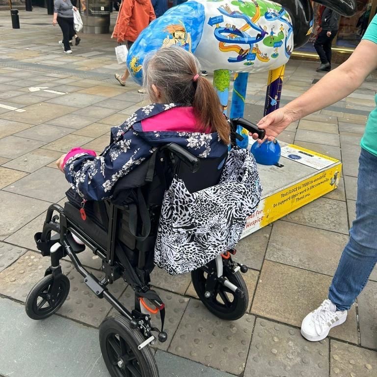 Triumph Over Adversity: Janice’s Journey to Independence and the Power ...